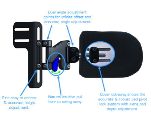 AT considerations for scoliosis posture